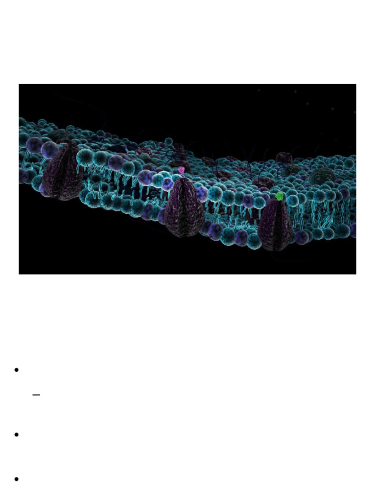 Chapter 5 Membrane Structure and Function | PDF | Cell Membrane | Osmosis