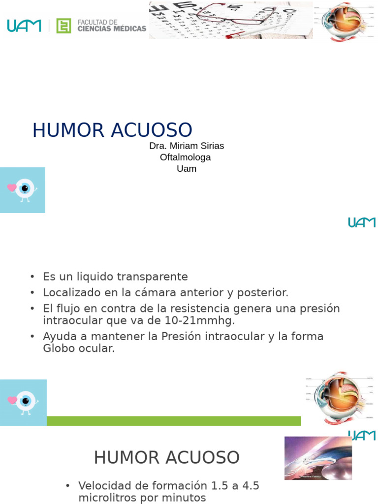 Funciones y Formación del Humor Acuoso | PDF | Química