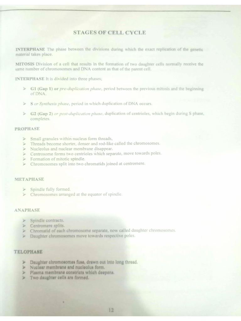 Stages of Cell Cycle | PDF