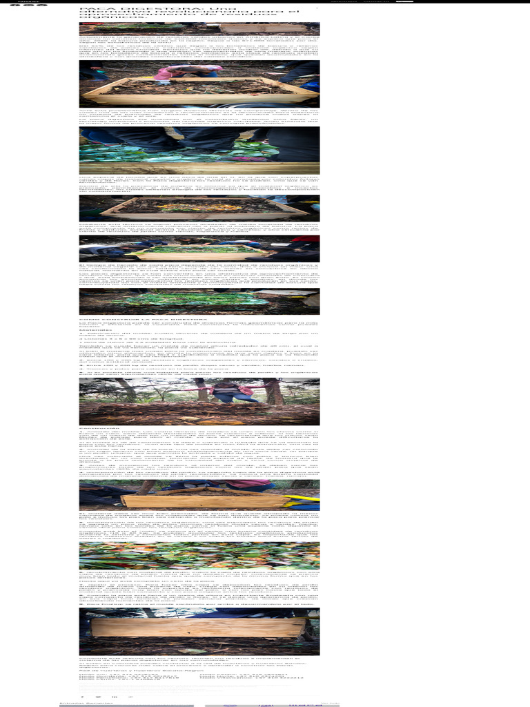 PACA DIGESTORA Una Alternativa Revolucionaria para El Aprovechamiento ...