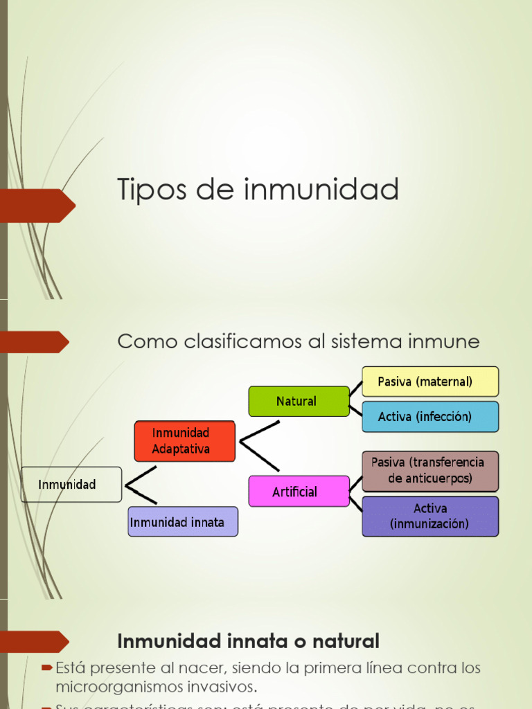 Inmunidad Innata | PDF | Sistema inmune | Inflamación