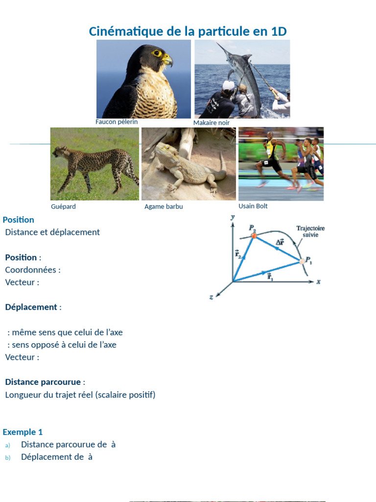 Cinématique 1D : Distance, Vitesse, Accélération | PDF | Vitesse ...