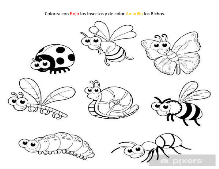 Insectos y Bichos | PDF