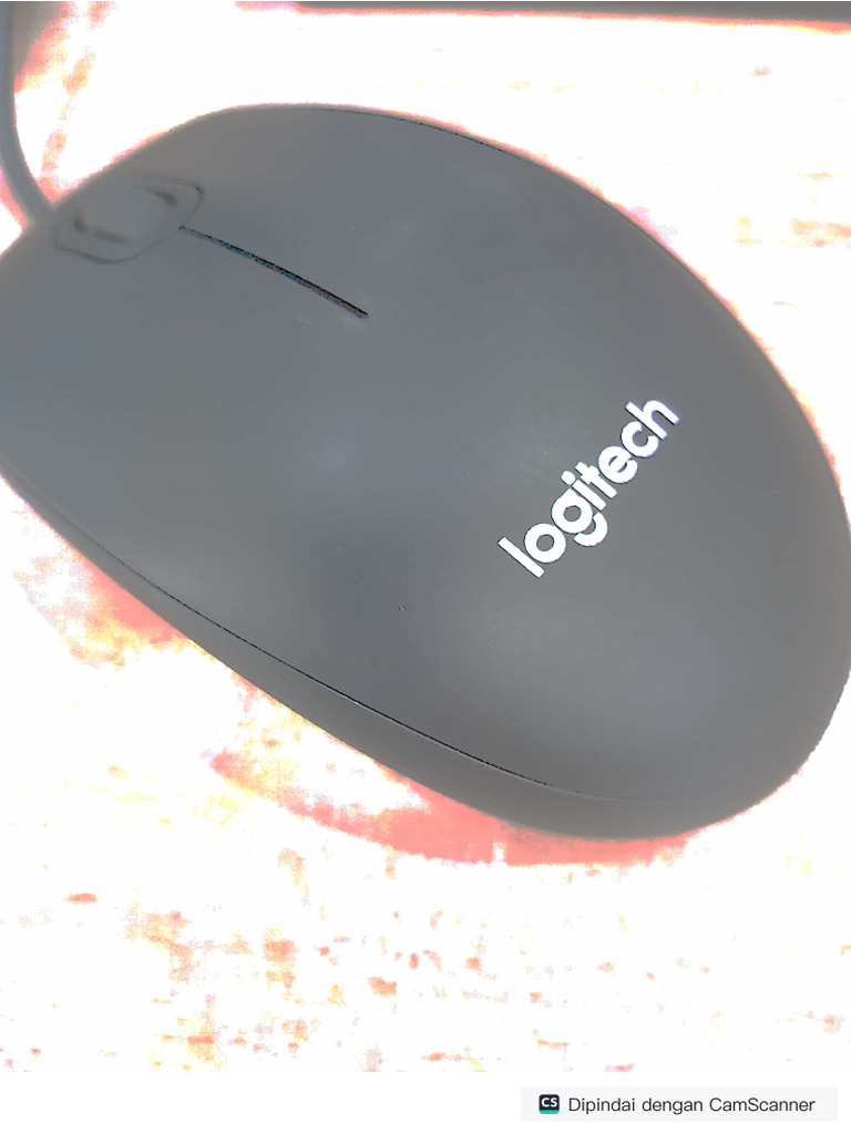 Mouse | PDF