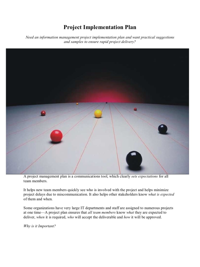 Project Implementation Plan | PDF | Project Management | Software ...