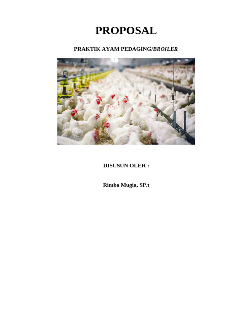 Proposal Praktik Ayam Pedaging | PDF | Bisnis