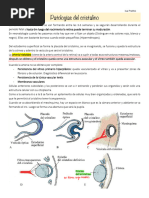 Protocolo Hints | PDF | Neuroimagen | Vértigo