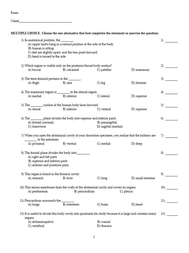 Exercise 1 | PDF | Anatomical Terms Of Location | Human Anatomy