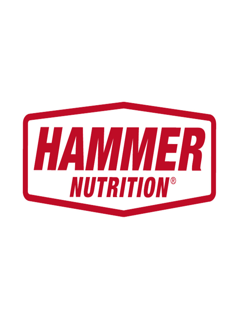 Logo Hammer | PDF