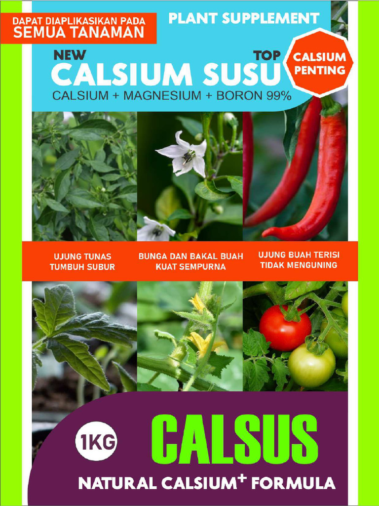 Calsus | PDF
