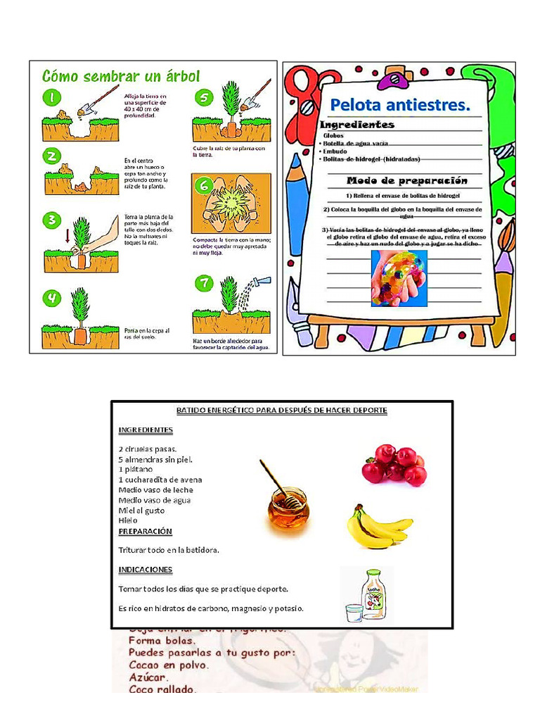 Textos Instructivos | PDF