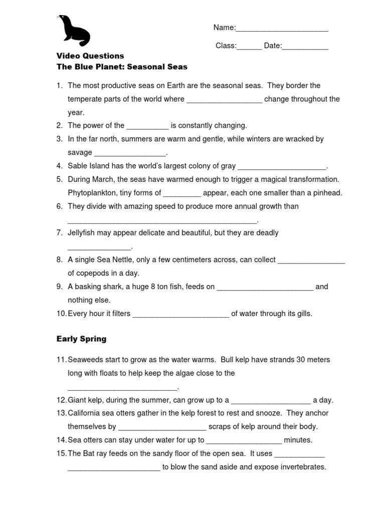 Blue Planet - Seasonal Seas Video Questions | PDF | Sea | Egg