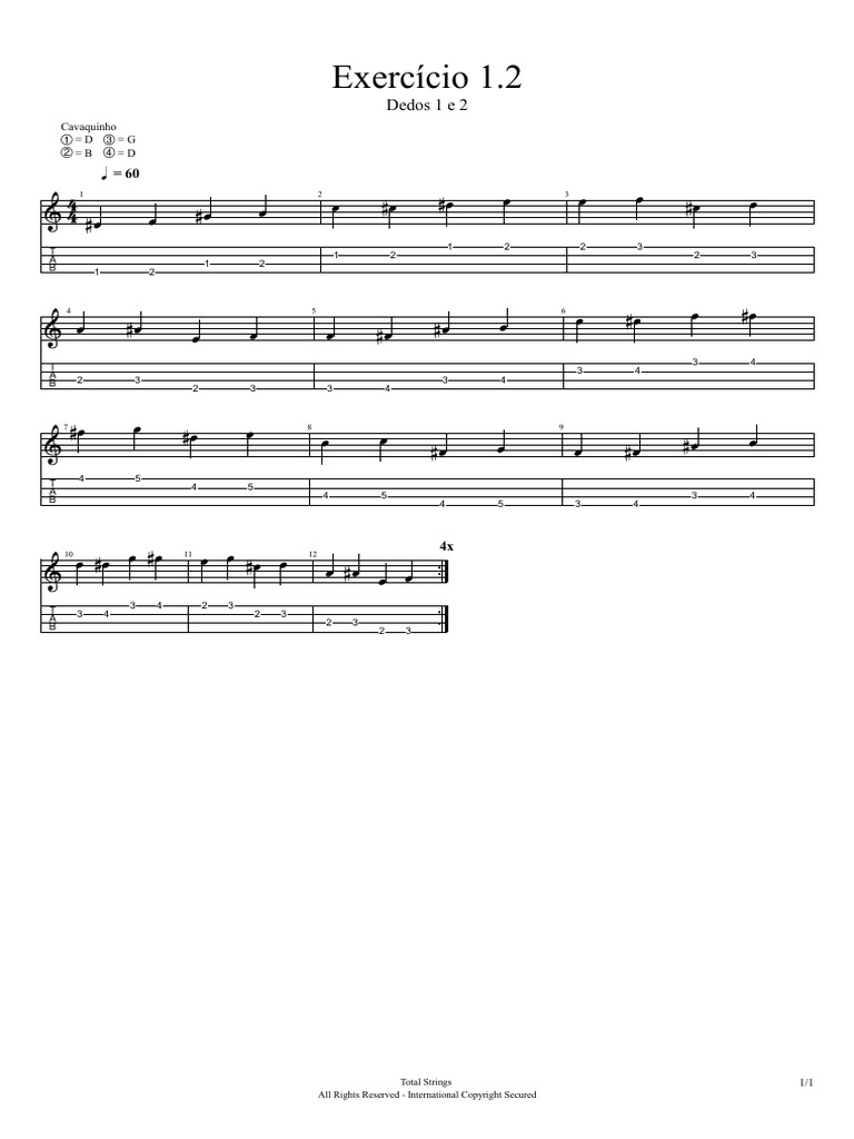 Exercicio1.2 Cavaquinho | PDF | Ley de libertad de expresión | Ley de derechos de autor