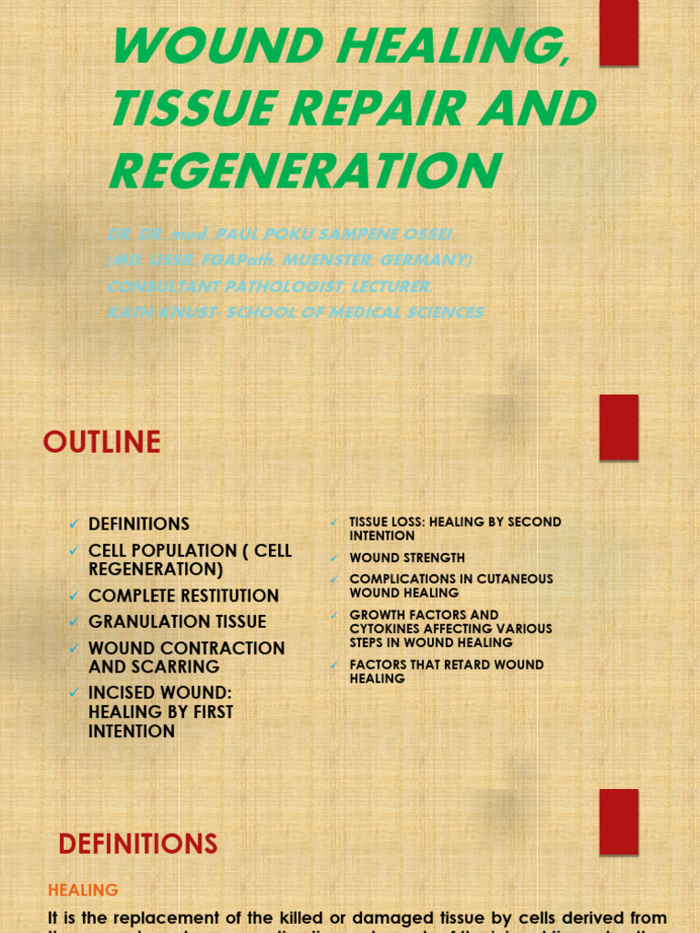 6 Wound Healing Tissue Repair and Regeneration | PDF | Wound Healing ...