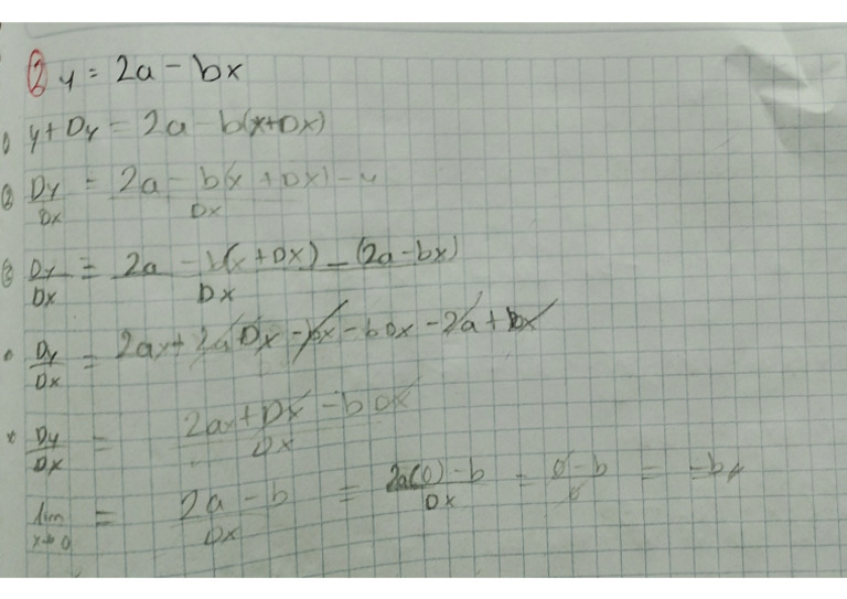 Derivada de Y 2a-Bx | PDF