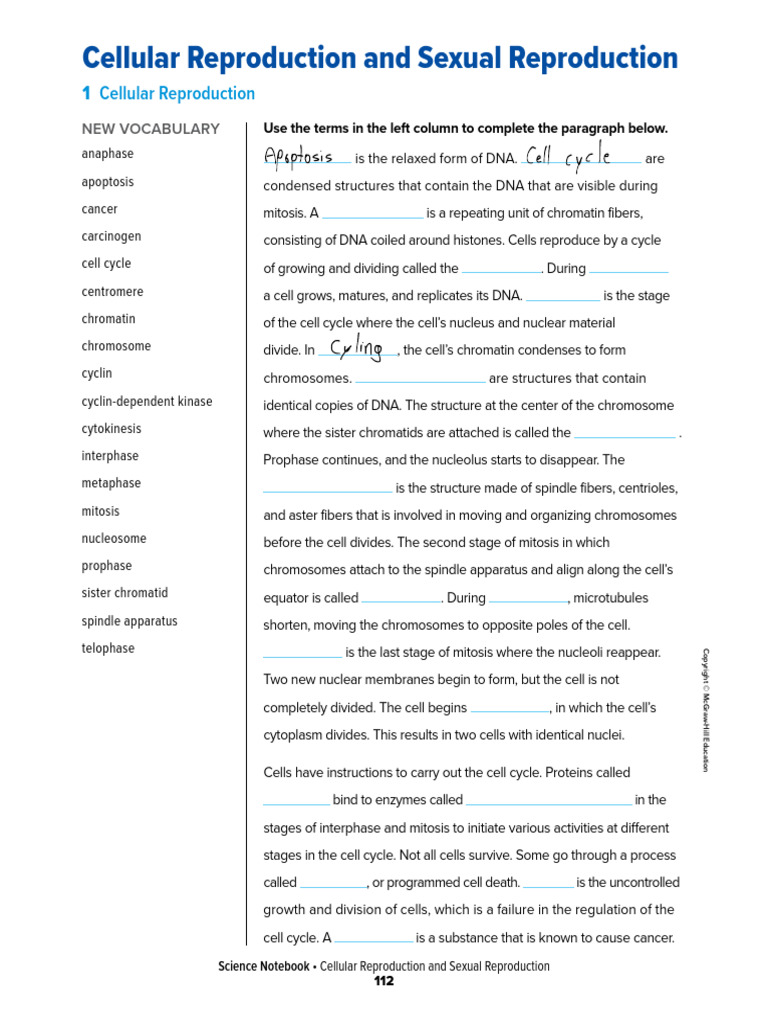 Cellular Reproduction and Sexual Reproduction: Cycle | PDF | Mitosis ...
