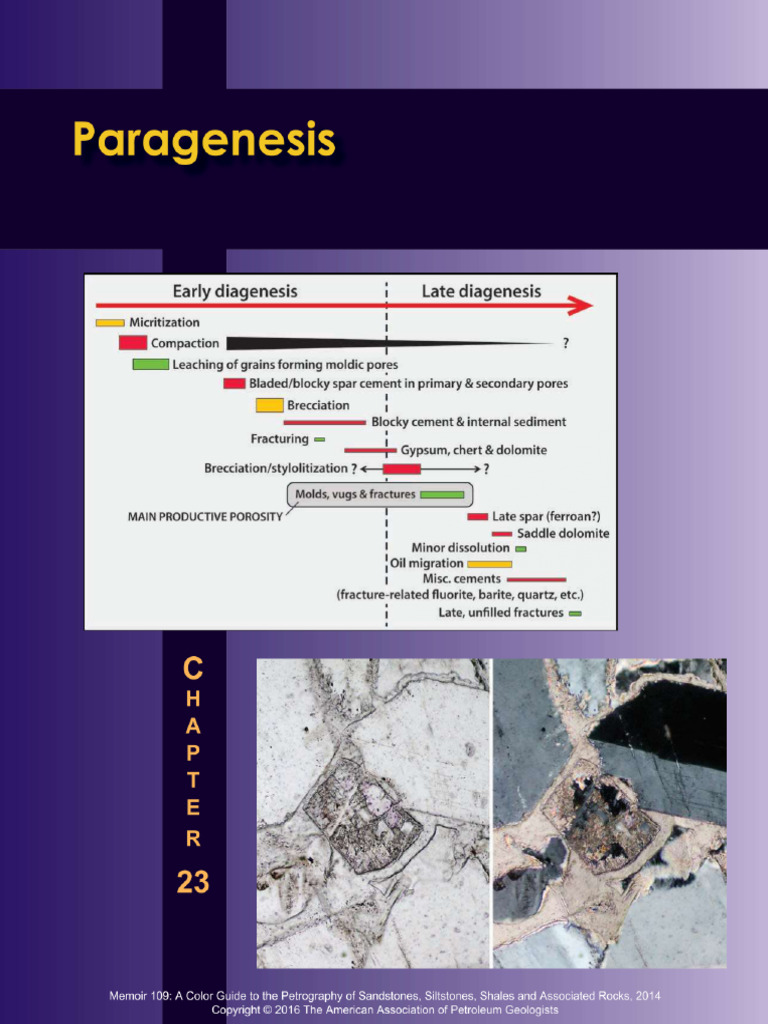Paragenesis | PDF | Sandstone | Porosity