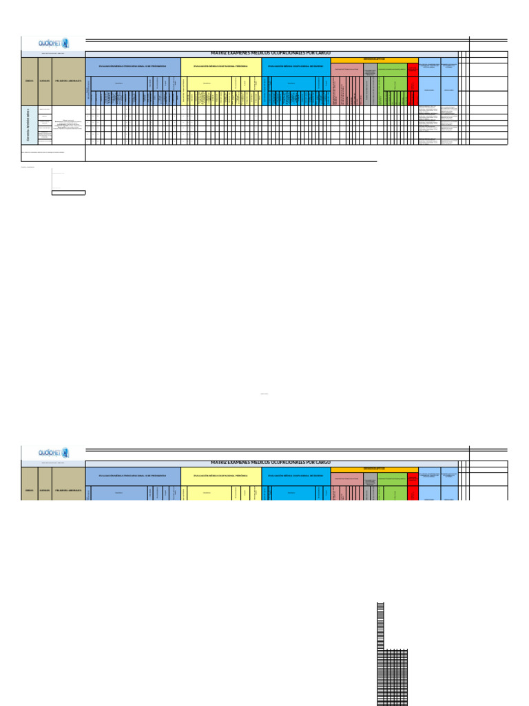 Matriz Examenes Por Cargo | PDF | Tamaño humano | Antropometría