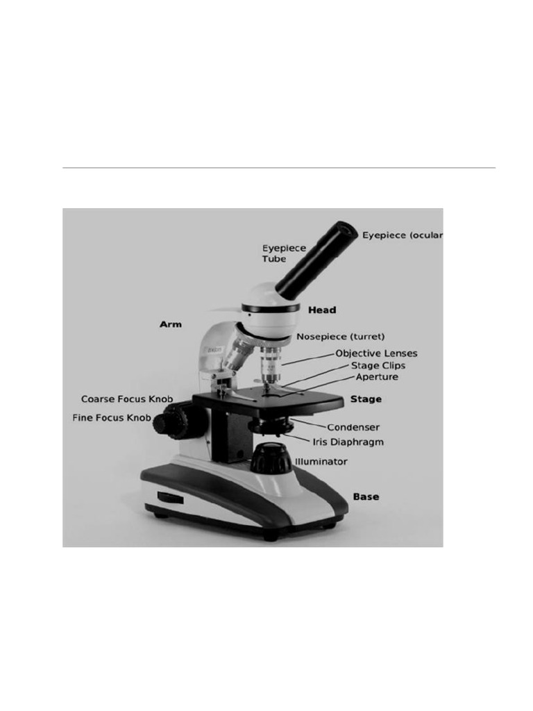 His 1 Item 1 1. Study of Microscope | PDF | Microscope | Microscopy