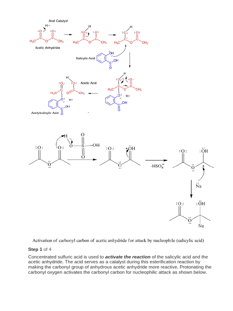 cơ chế h2so4 | PDF