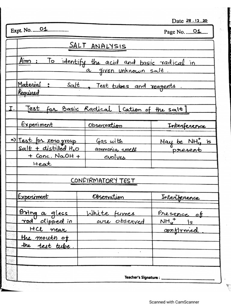 Chemistry Practical File (Reem) | PDF