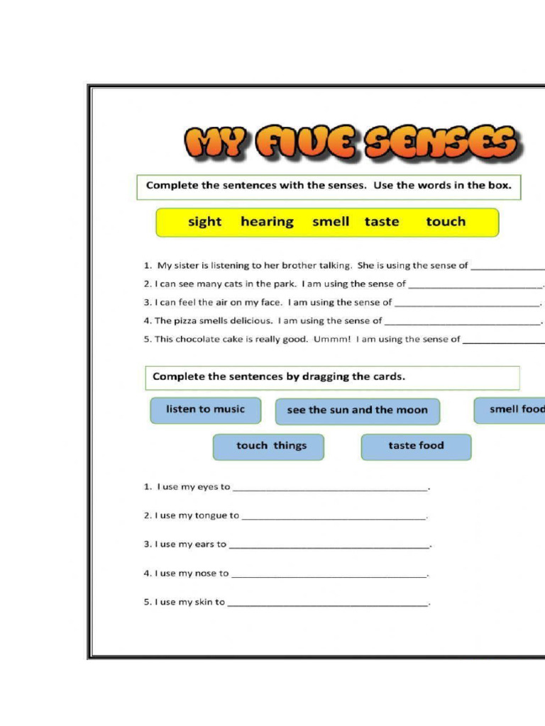 Five Sense Organ 3 | PDF