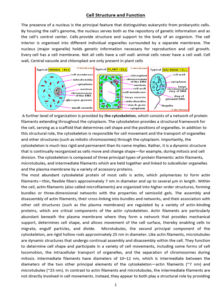 Cell Structure, Function, and Movement | PDF | Cytoskeleton ...