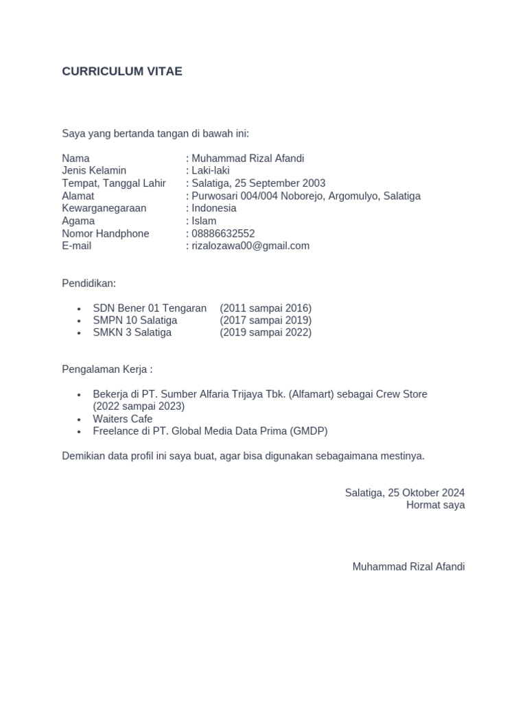 CV Muhammad Rizal Afandi | PDF