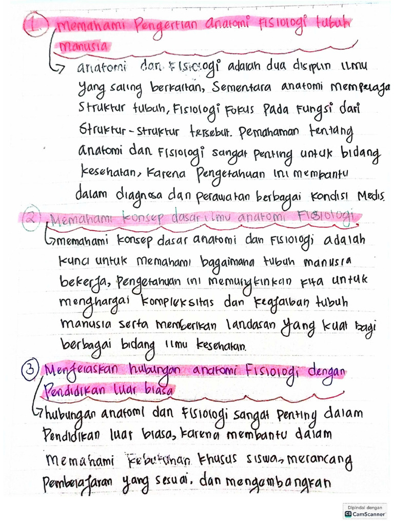 Matkul Anatomi | PDF