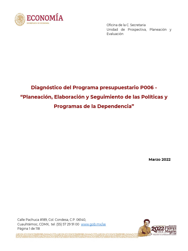 Diagn Stico P006 | PDF | Planificación | Presupuesto