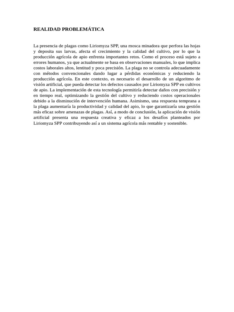 Realidad Problemática | PDF | Informática