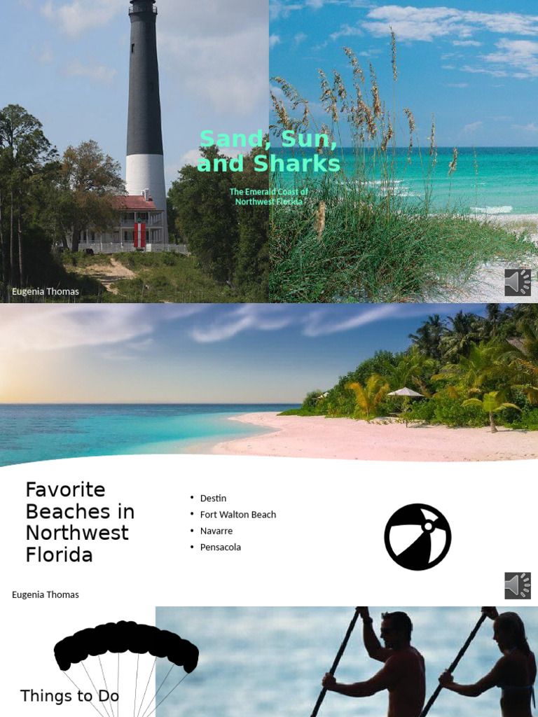 Sun, Surf, and Sharks | PDF | Sharks