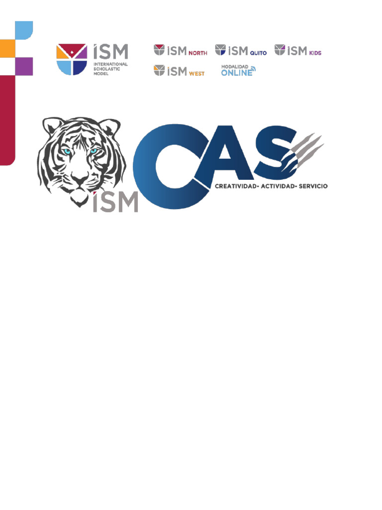 Manual CAS 2024-2025: Guía Completa | PDF | Aprendizaje | Plan de estudios