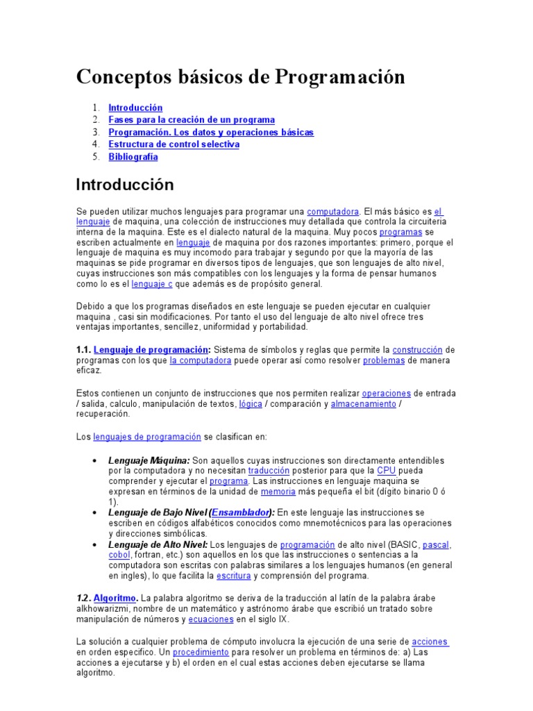 Conceptos básicos de Programación | PDF | Lenguaje de programación | Programa de computadora