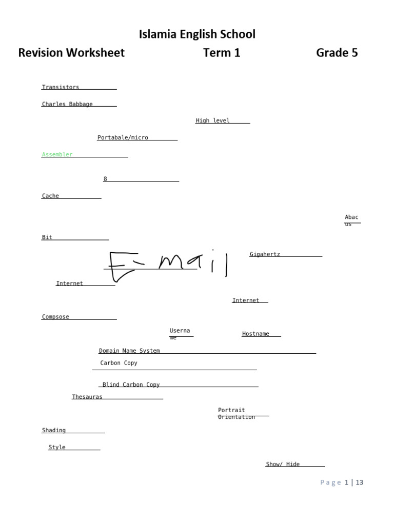Grade 5 Computer Basics Worksheet | PDF | Bit | Computer Data Storage