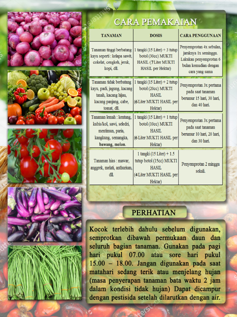 Leaflet POC BELAKANG 2022 | PDF