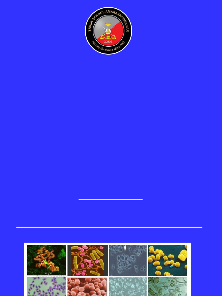 Chapter02 Microorganismsfriendfoe | PDF | Food Preservation | Microorganism