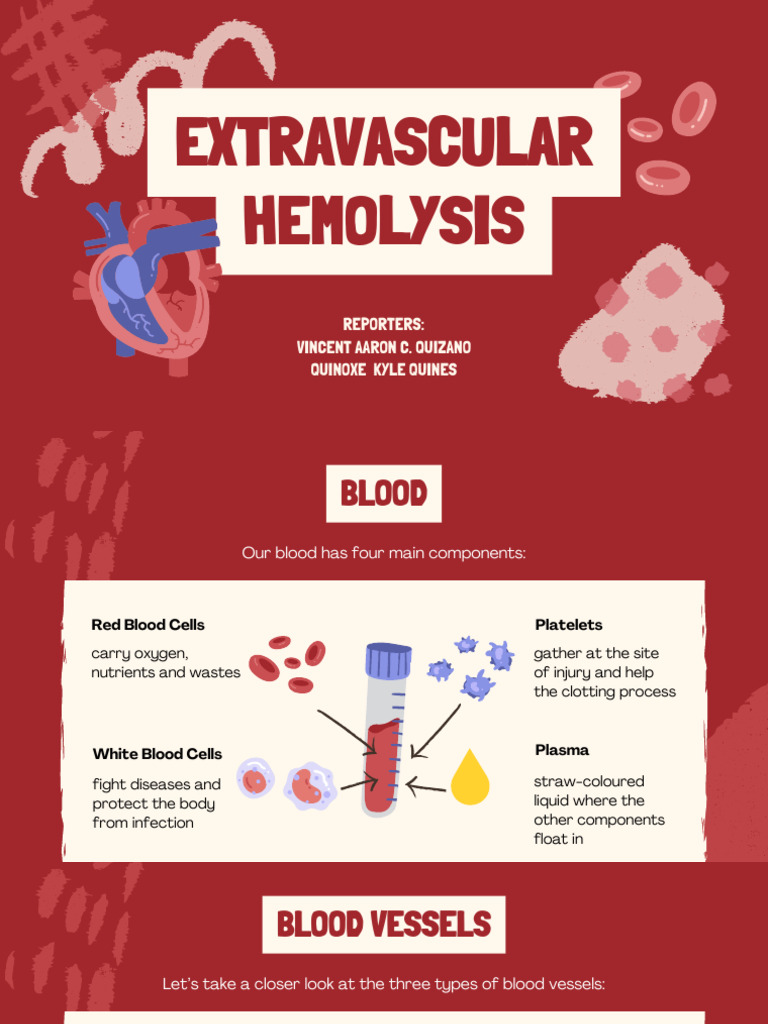 Extravascular Hemolysis | PDF | Red Blood Cell | Blood Vessel
