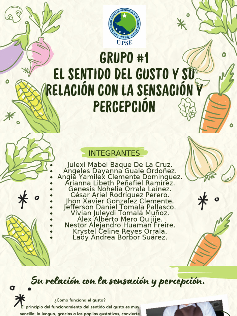 Grupo #1 El Sentido Del Gusto | PDF | Gusto | Sentidos