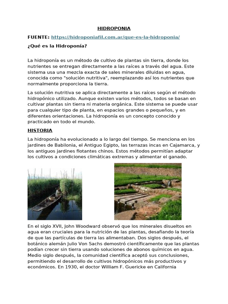 Hidroponía: Cultivo sin Tierra | PDF | Hidroponia | Agricultura