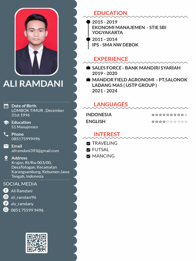 CV Ali Ramdani | PDF