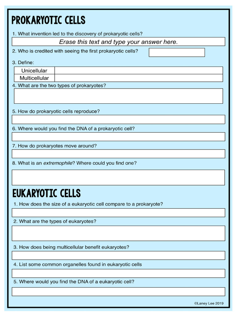 Reading Prokaryotic&Eukaryotic Worksheet | PDF