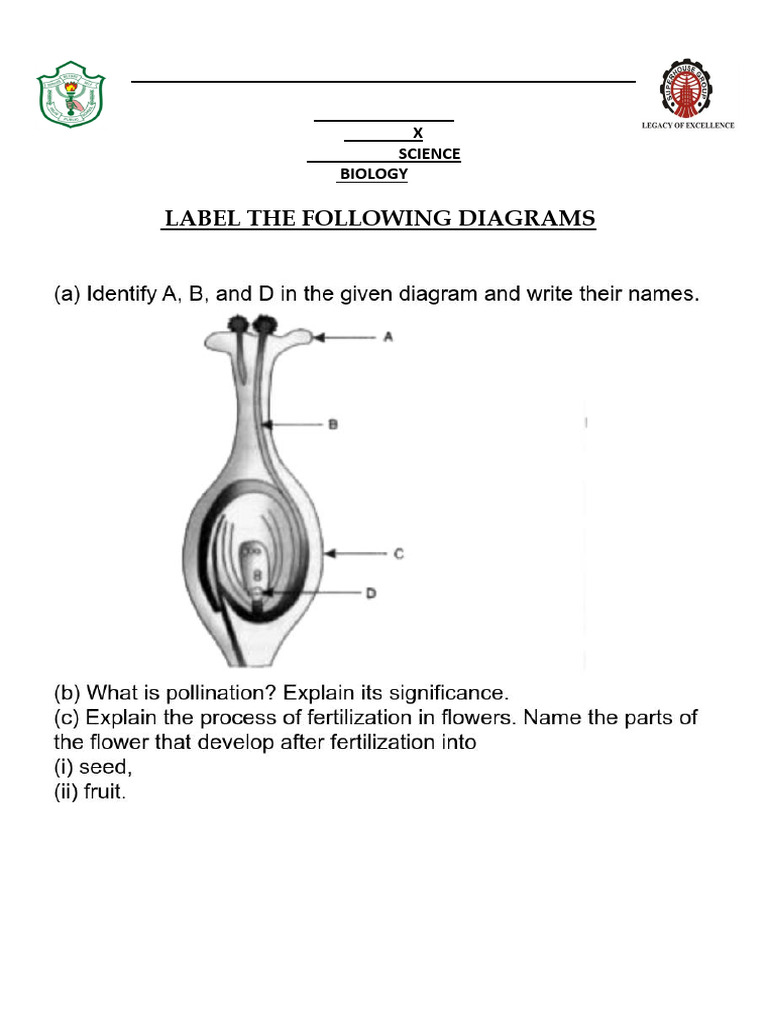 Diagrams and Flowchart | PDF | Science & Mathematics | Computers
