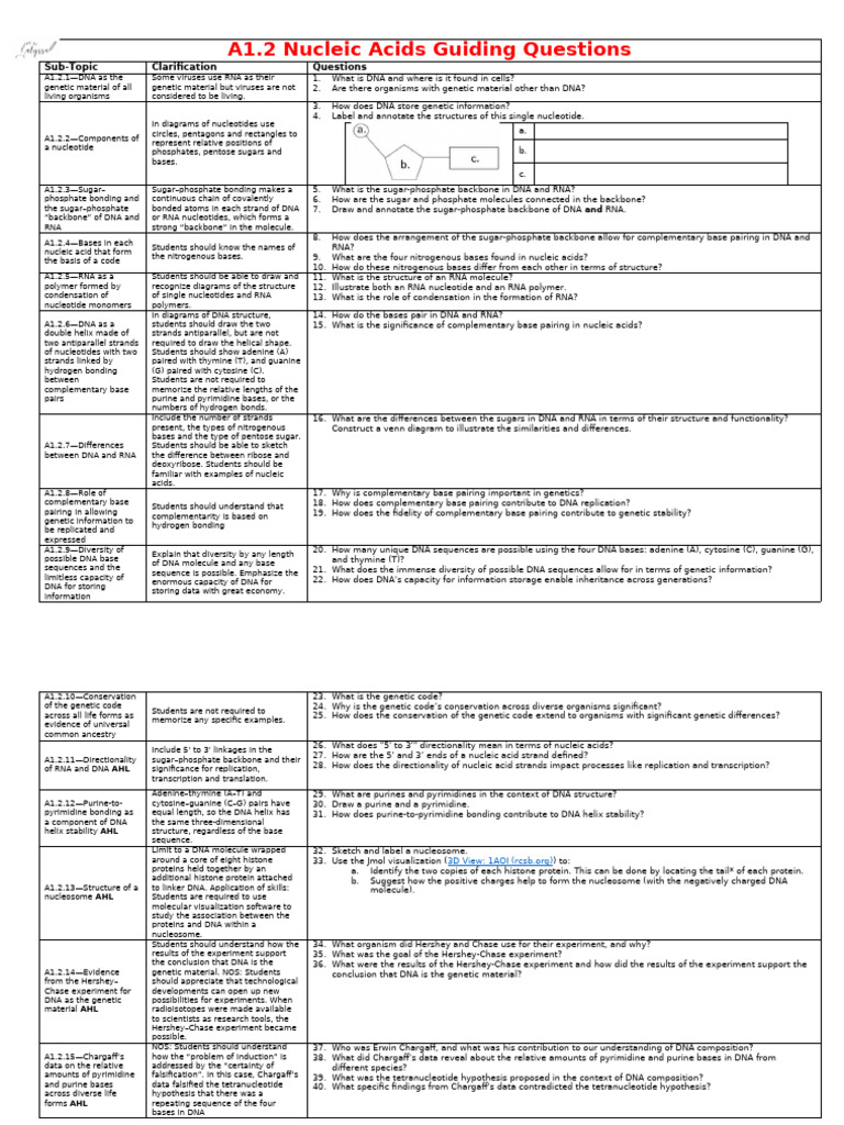 A1.2 Nucleic Acids Guiding Questions With Key | PDF | Nucleic Acids | Dna