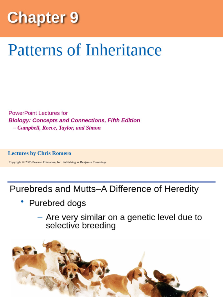 ch.9 Powerpoint Lecture | PDF | Dominance (Genetics) | Genotype