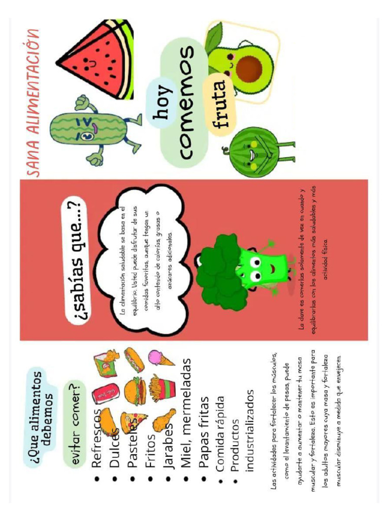 Triptico Vida Saludable | PDF