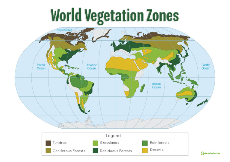 World Vegetation Zones | PDF | Home & Garden | Science & Mathematics