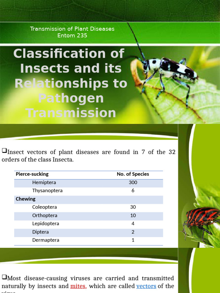 Classification of Insect & Its Relationship To Pathogen Transmission ...