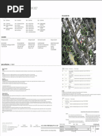 IBC Chapter 10: Means of Egress Guidelines | PDF | Stairs | Door