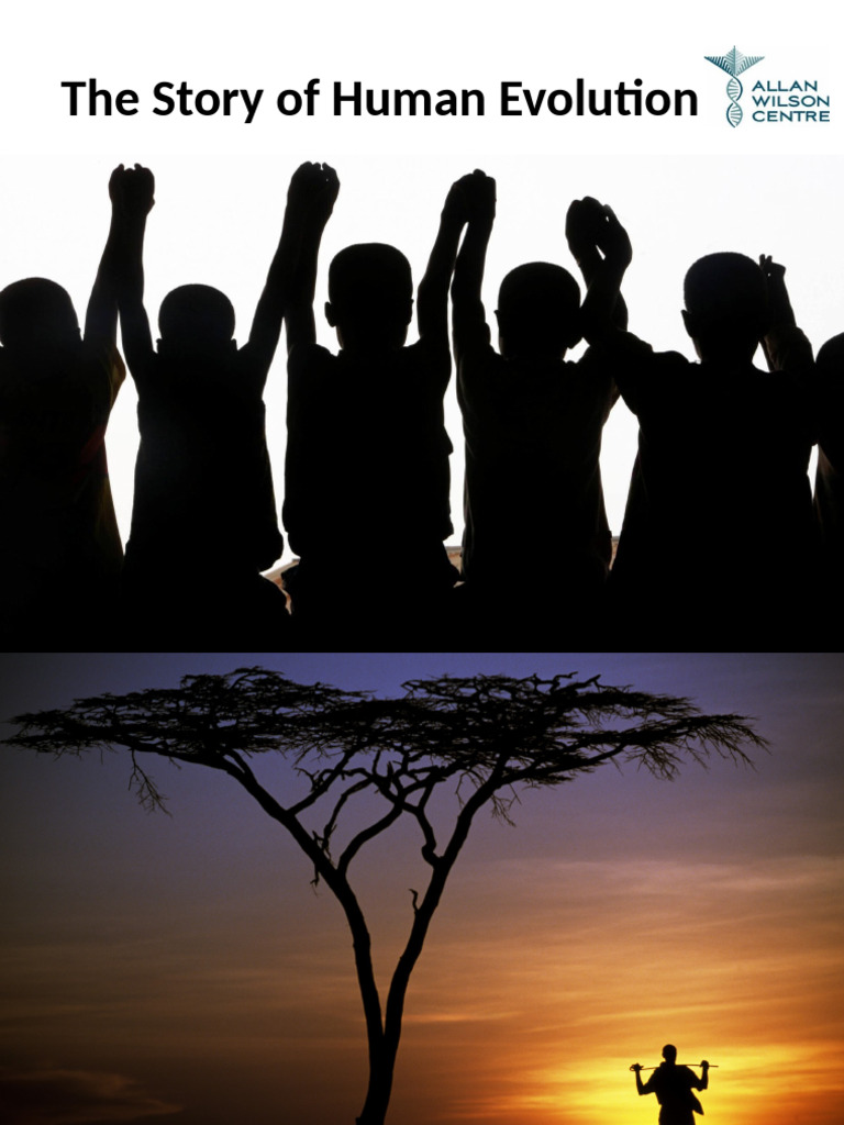 Human Evolution | PDF | Human Evolution | Hominidae